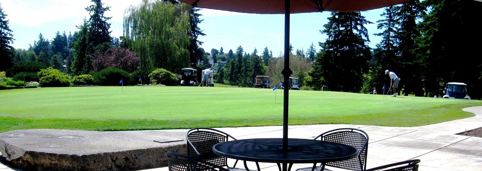 Useless Bay Golf Course in Langley